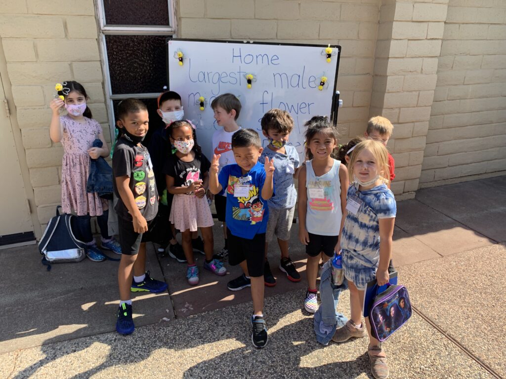 Home › RAAC Academy